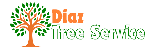 Home Home - https://diaztreeservicesolutions-com.preview-domain.com/home-2/